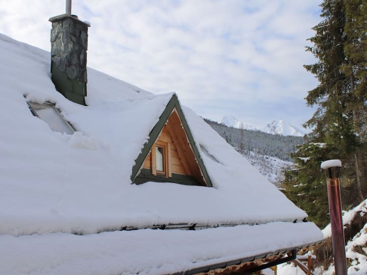 Chata Martina A By Interhome - Zdziar