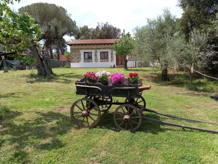 "Giotto" Mit Terrasse By Interhome - Piombino