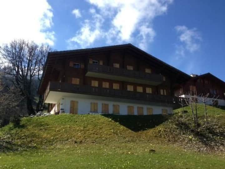 Gemütliche Ferienwohnung Auf Der Axalp - Brienz