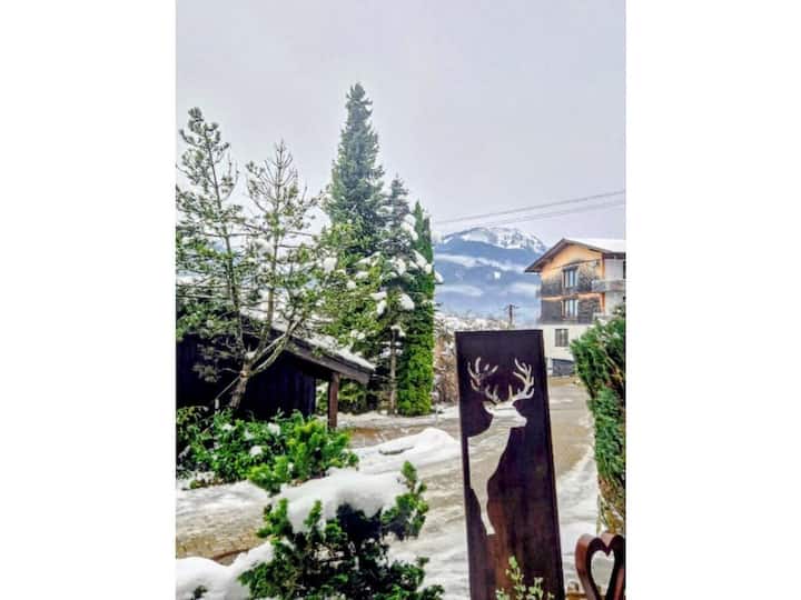 Alpenherz Obermaiselstein - Oberstdorf