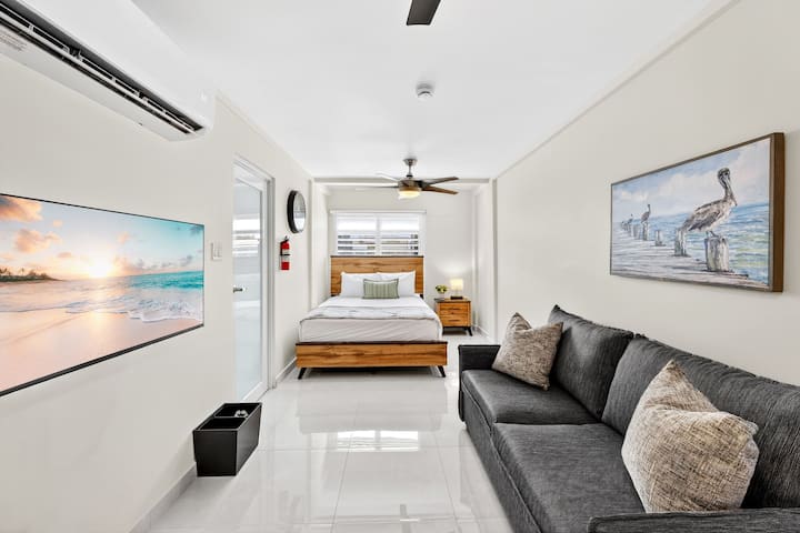 Cozy Retreat W Private Patio 1 Br, Sleeps 3 - San Juan