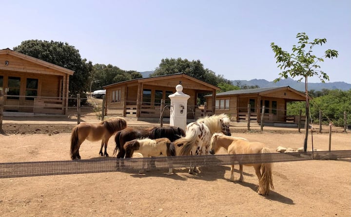 Les Chalets De Tesa 3 - Isola Rossa