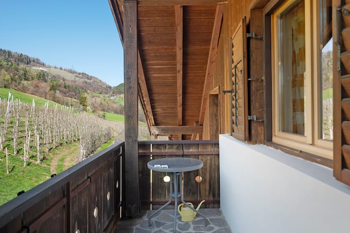 Regalterhof Apartment Theresa - 聖保羅