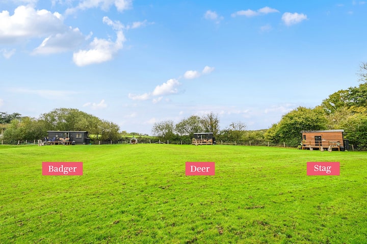 Priory Park Huts - Crowborough