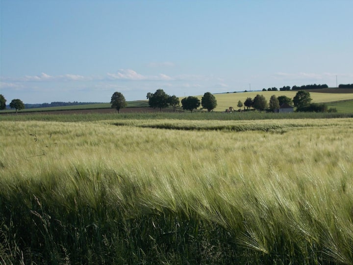 Natur Und Ruhe - Für Ruhe Suchenden - Uslar