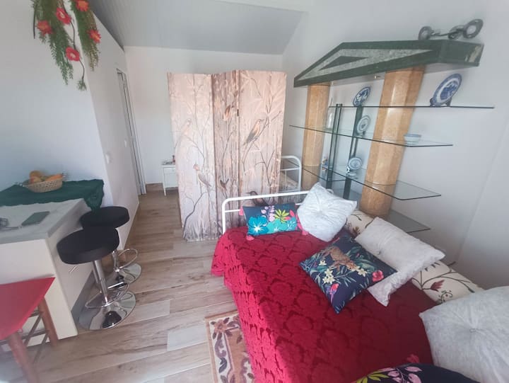 Courtyard T0 Studio Farmhouse - Idanha-a-Nova