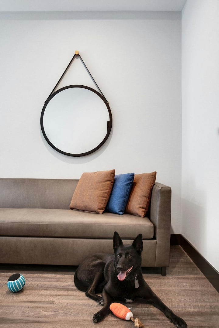 On-site Bar With Local Brews And Artisanal Pizza - Carlsbad, CA