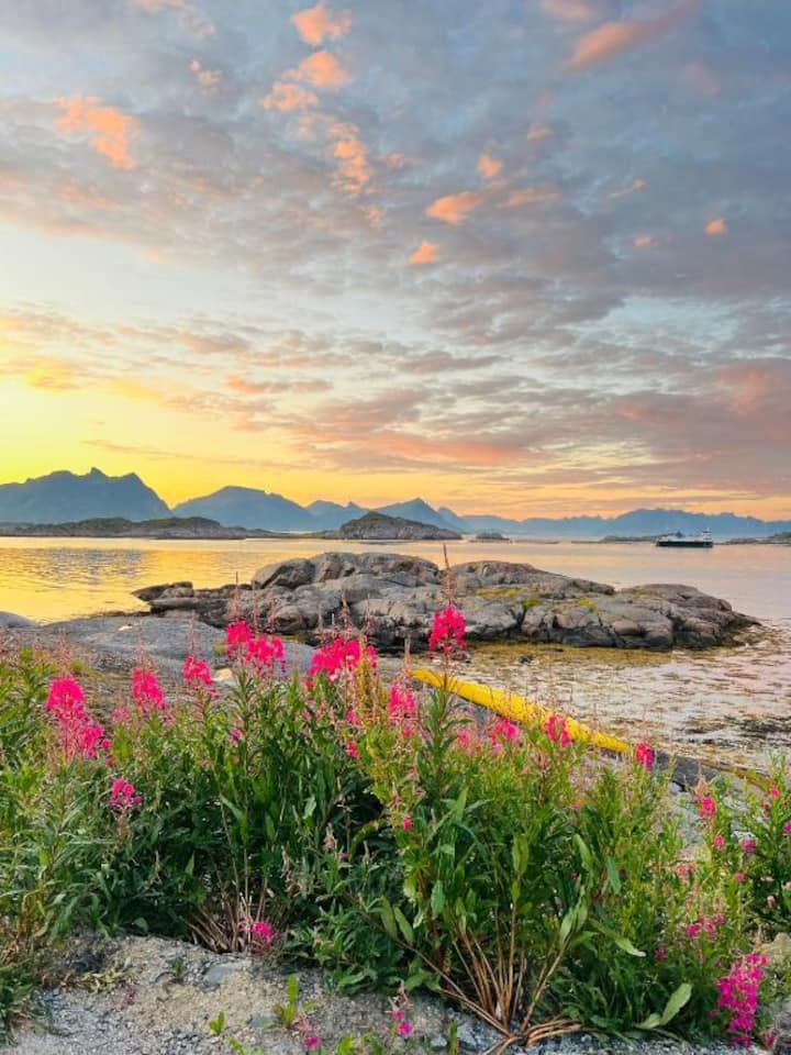 Lofotenapartmentone - Stamsund