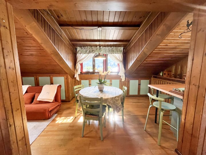 Renovated Mountain View Apartment - Auronzo