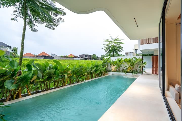 3br Designer Paddy View Villa Near Berawa Beach - Bali