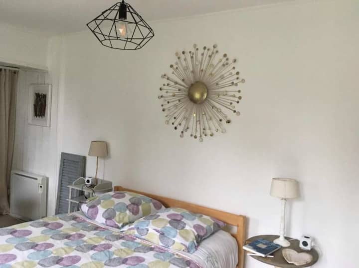 Les Studios De La Côte Roz: Voyageur Solo, - Perros-Guirec