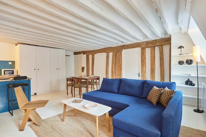 Superbe Appartement Musée Du Louvre Saint Honoré - Châtelet - Les Halles - Paris