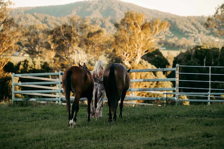 Frank's Place – Retro Farmstay & Horsey Haven - Kyogle