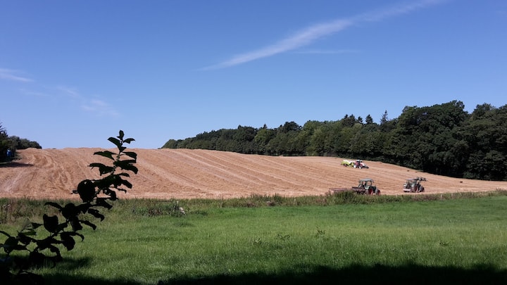 Gemütliche Fewo Auf Dem Resthof - Bosau