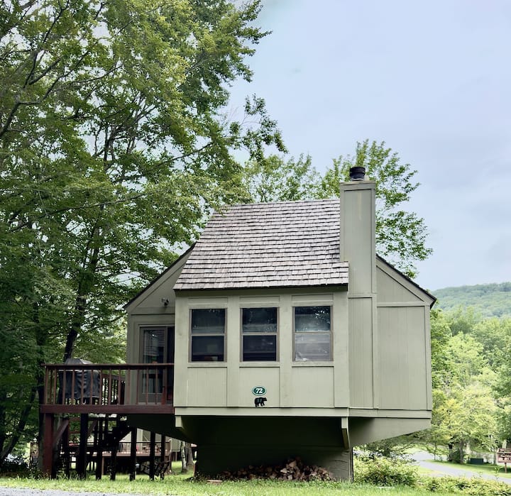 Woods Walk - Canaan Valley, WV