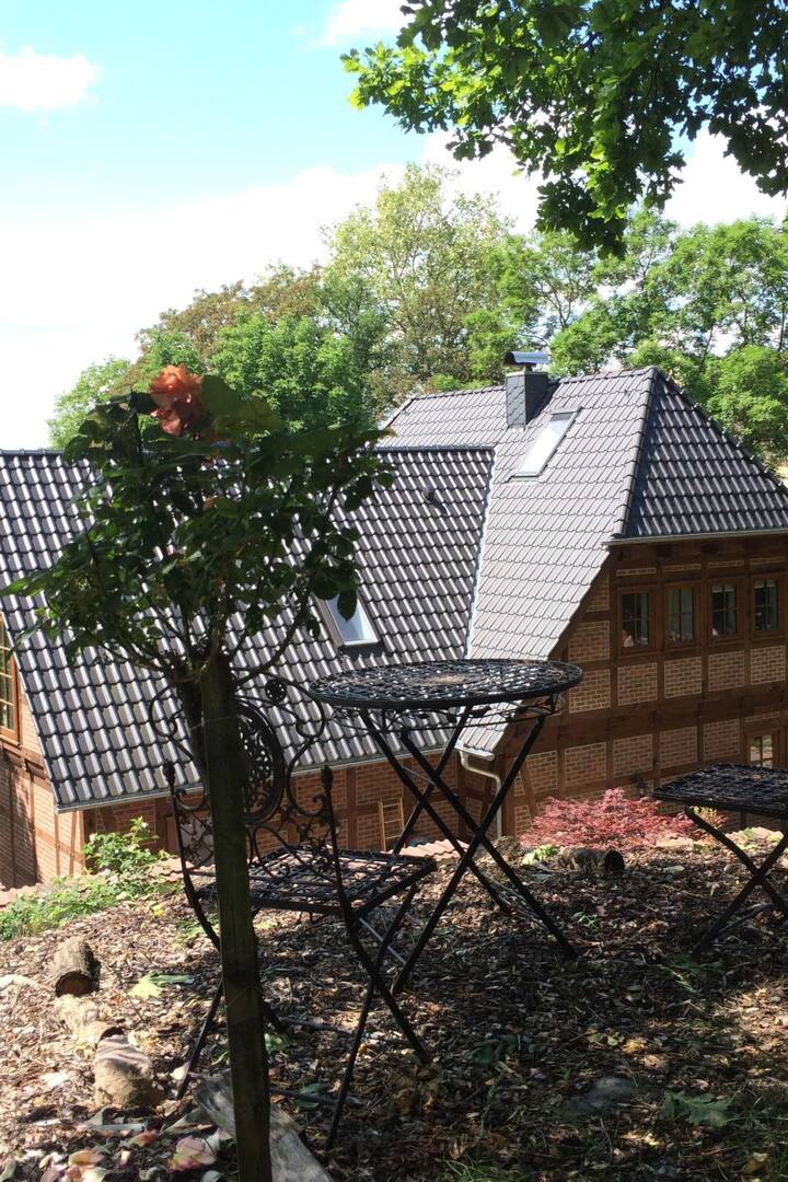 Pleissenhaus By Interhome - Altenburg
