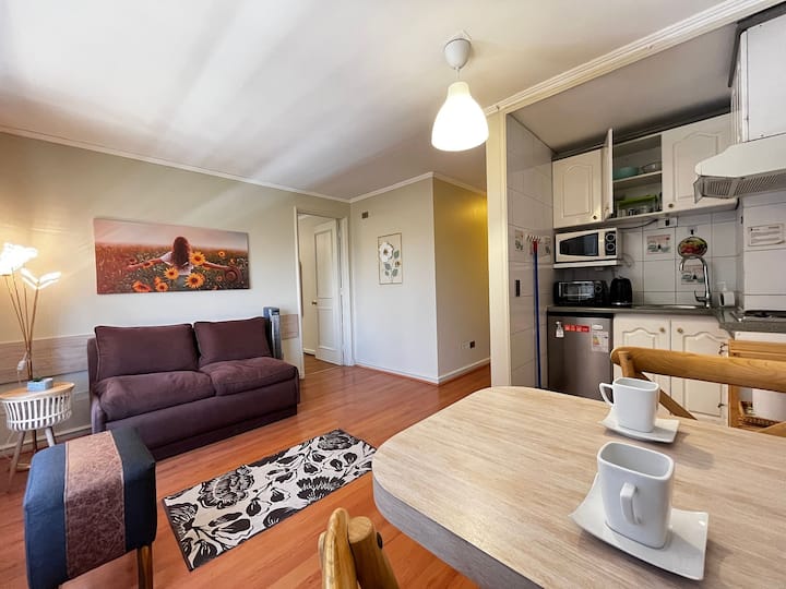 Apartamento Living Valdivia (Dp 803) - Providencia