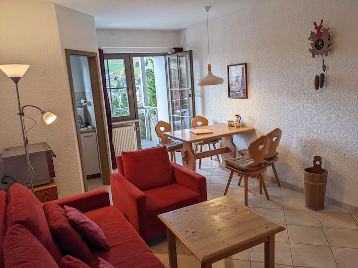 Residenz Schauinsland Apartment #1 - Todtnau