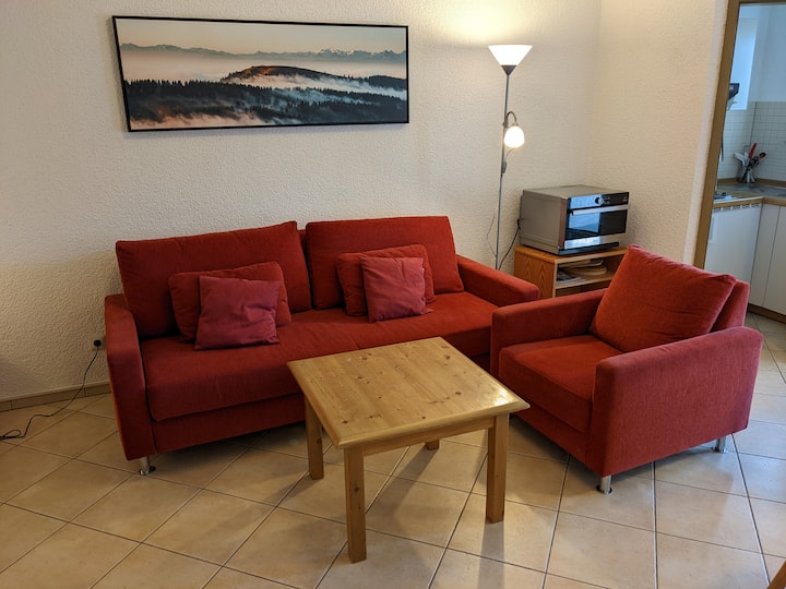 Residenz Schauinsland Apartment #1 - Notschrei