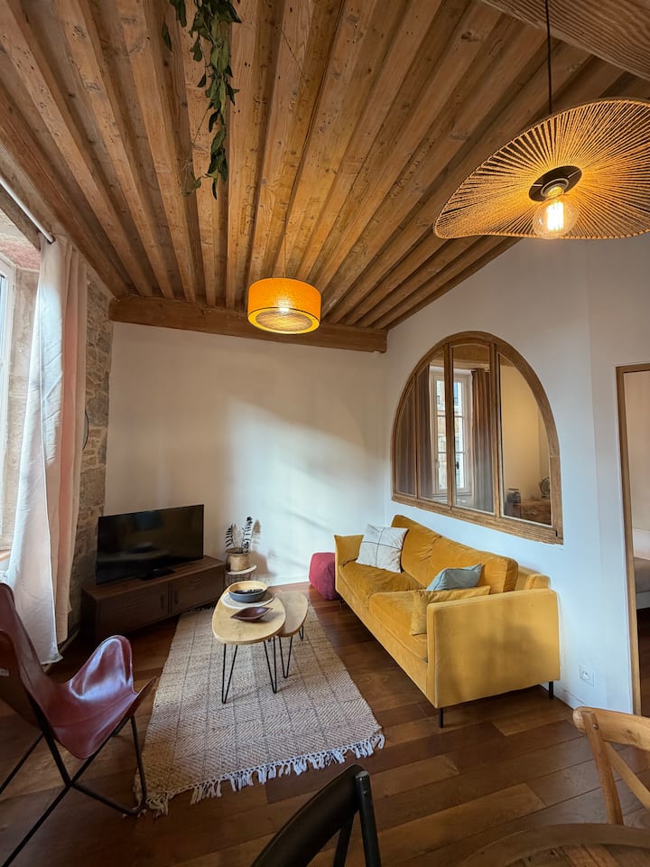 Le Séquoia - Appartement Centre Ville - Lyon