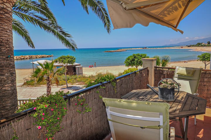 Gladiols *Only Families* - Cambrils