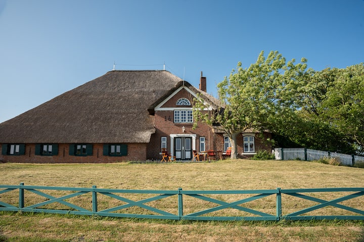 Strandläufer - Westerhever