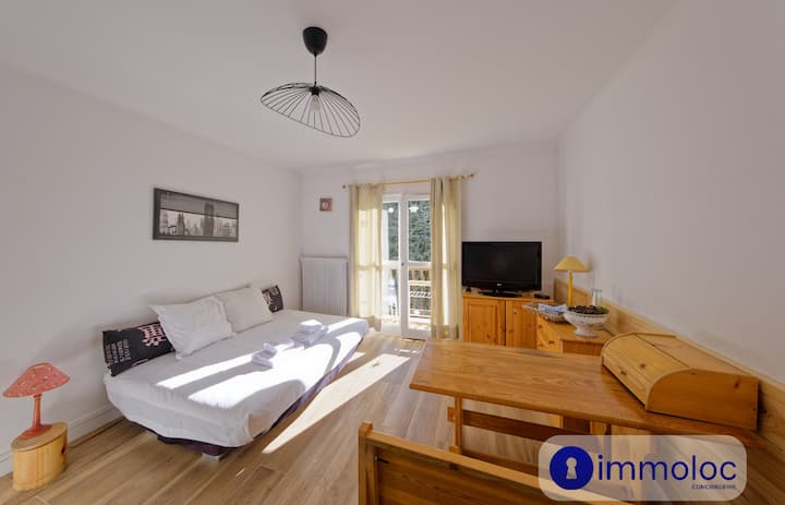 Studio Central Auron à 200 Mètres Du Départ Du - Auron