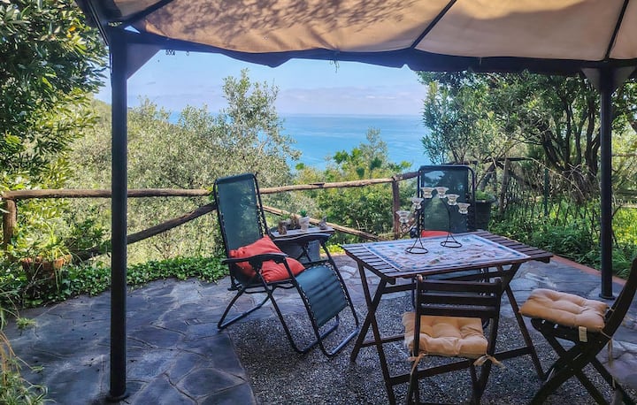 1 Bedroom Amazing Home In Zoagli - Zoagli