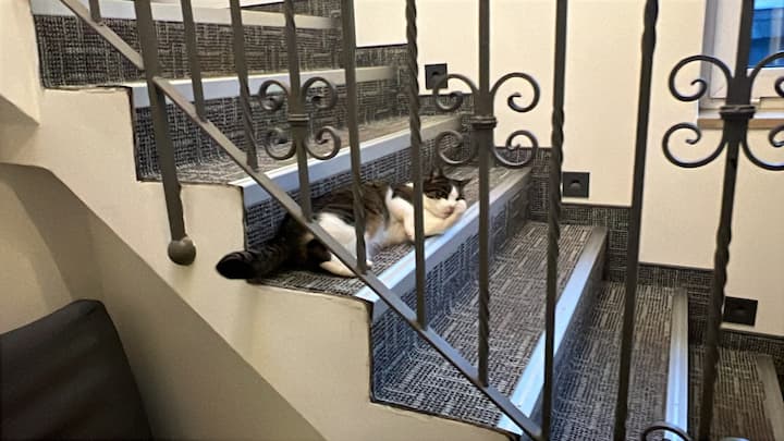 Famille-salle De Bain Privée - Seevetal