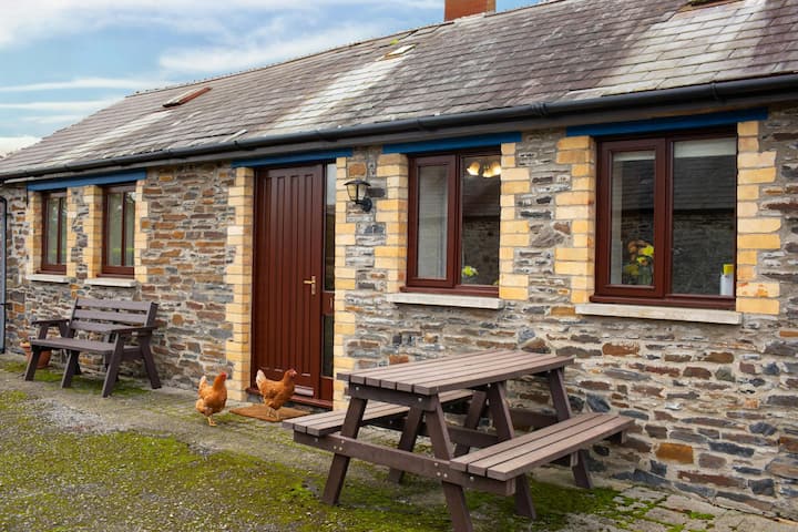 The Granary, Aberystwyth - Aberystwyth