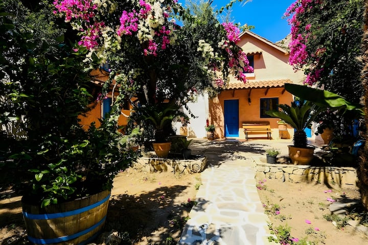 Olive Tree Cottages 5 - Sougia