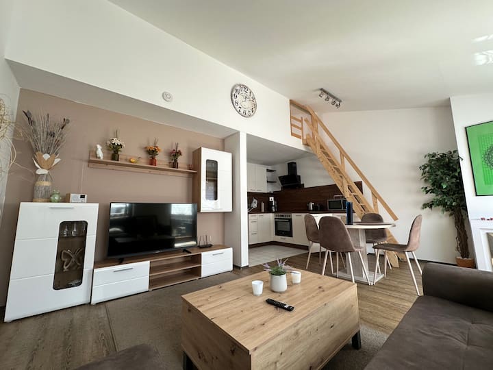 Fewo Mit Galerie - Hunde Erwünscht - Falkenstein