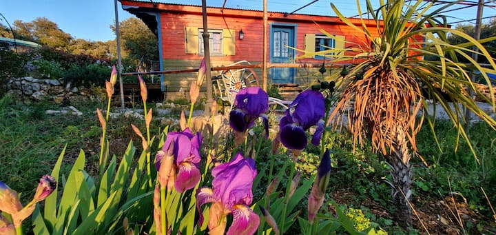Logis De Belavista La Boémia - Aniane