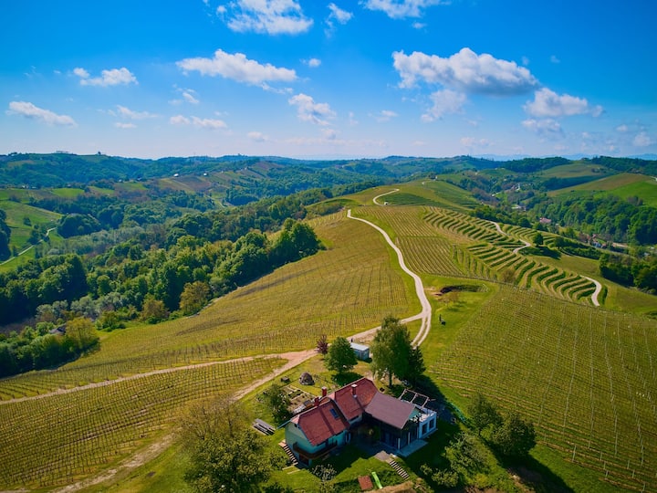 Boris By Interhome - Banovci