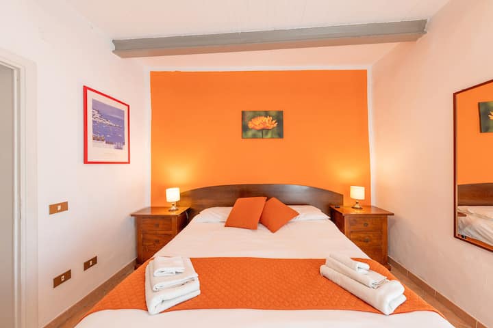 Calendula - Rosignano Marittimo