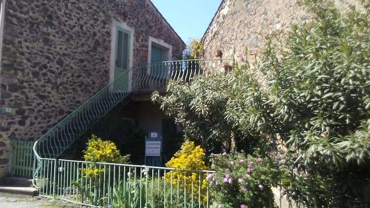 La Coustouline - Clermont-l'Hérault