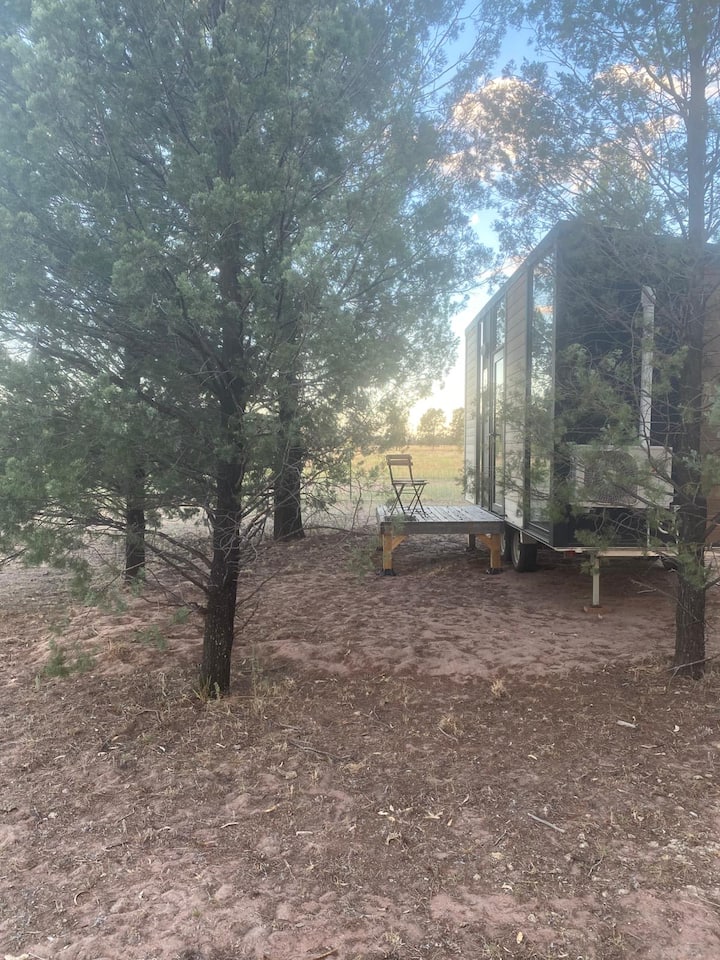 Plain Bush By Tiny Away - Narrabri