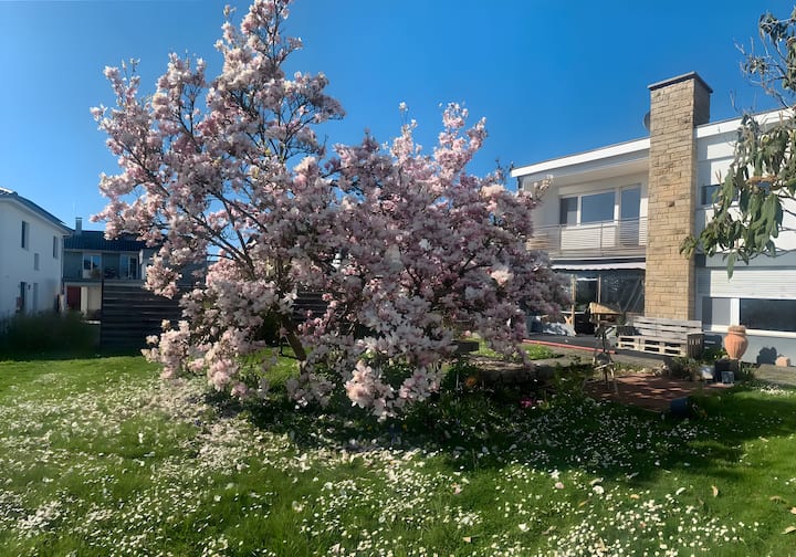 Ferienwohnung Seestern Mit Wifi - Radolfzell