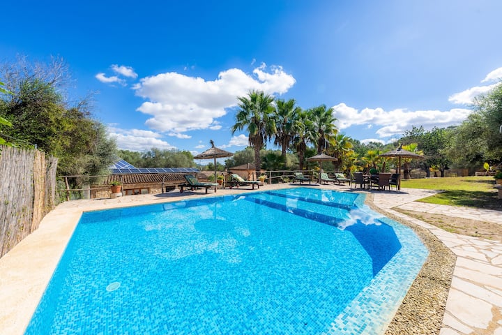 Isla Tortuga - Petra