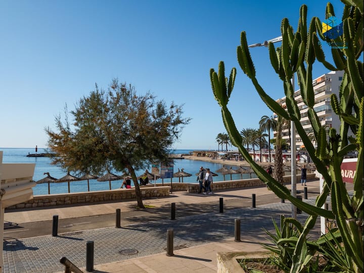 Apartamento Volanti Ii - Palma