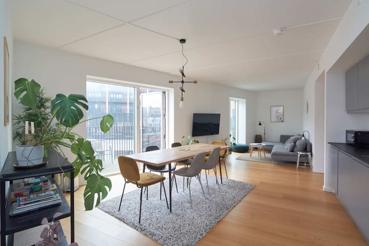 Beautiful Apartment With 3 Bedrooms & 2 Baths - Kopenhagen