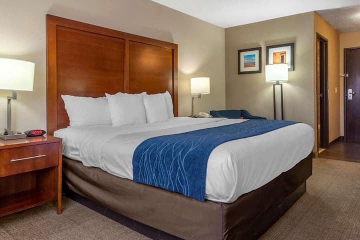 4 Pet-friendly Hotel Rooms W/ Free Breakfast - Albuquerque, NM