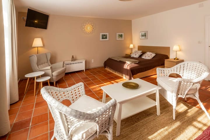 Weissenbacherhof Apartment Im Streckhof - Purbach am Neusiedler See