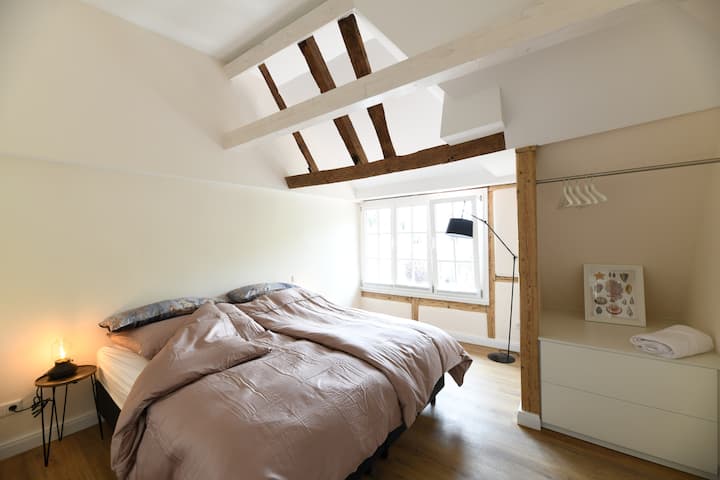 Das Schiefe Haus Whg Odenwald - Heppenheim