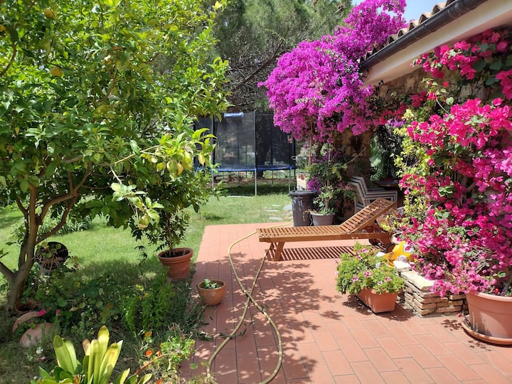 Piccolo Angolo Di Paradiso - Taggia