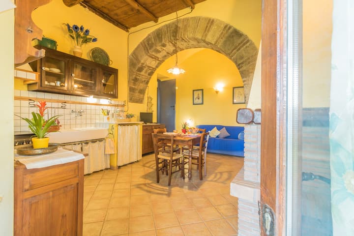 Agriturismo Tenuta Serpepe - Fiordaliso Grande - Capodimonte
