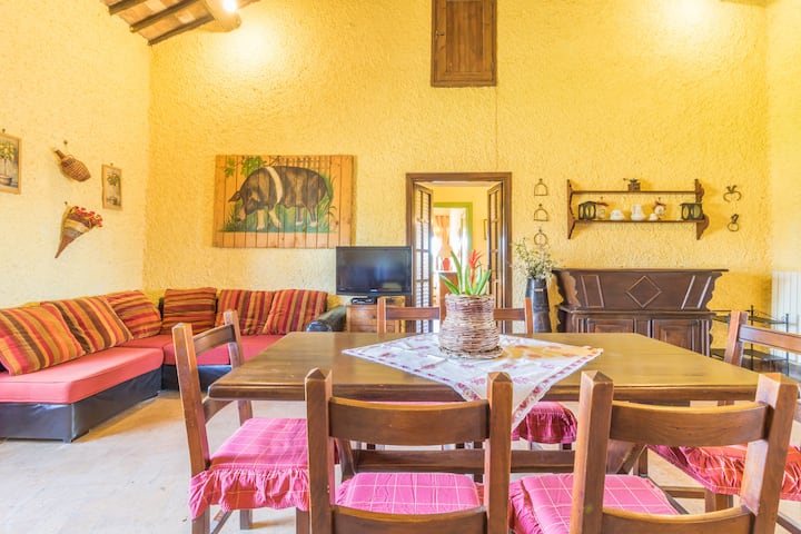 Agriturismo Tenuta Serpepe - Papavero - Capodimonte