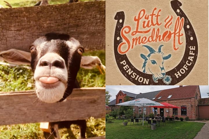 Lütt Smedhoff - Appartement Dresden - Malchin