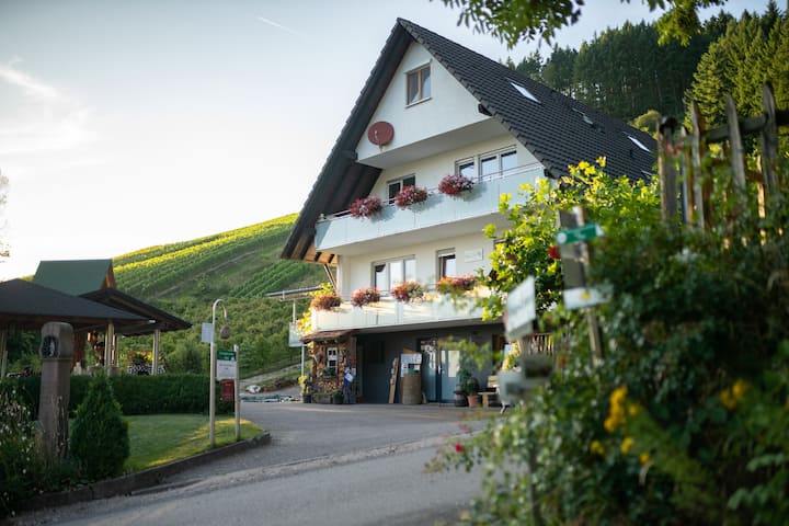 Ferienwohnung Baßler Schlossblick - Kappelrodeck