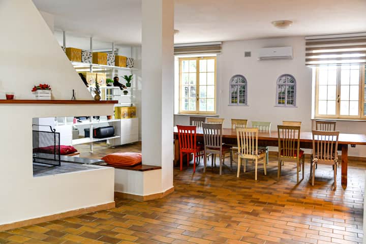 Mary Jungle - Porto Sant'Elpidio